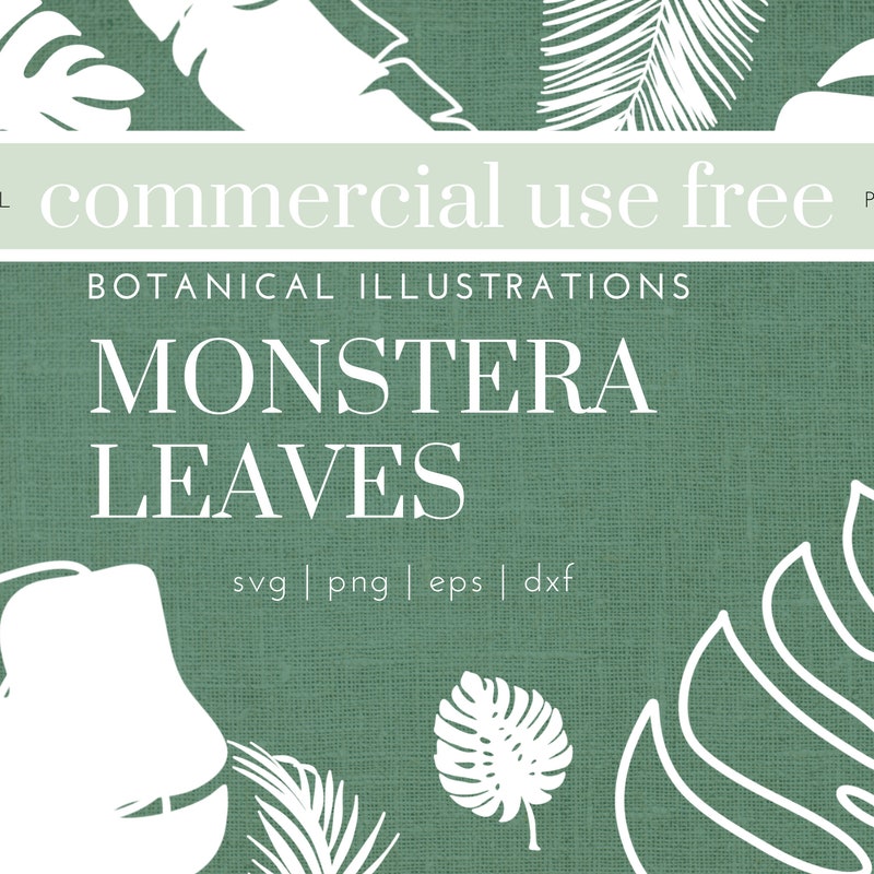 Monstera Leaf - Etsy
