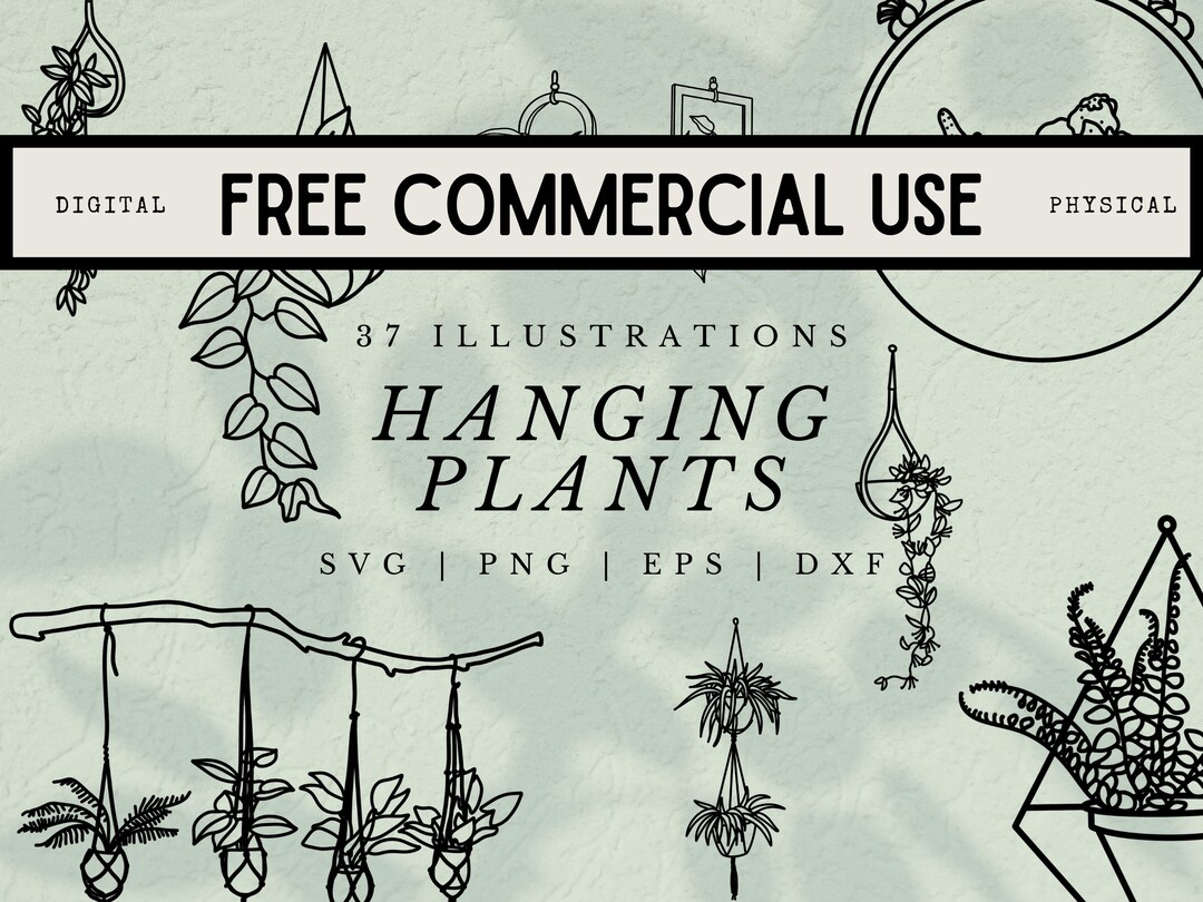 37 Hanging Plants SVG Illustrations- Line Art Plant Images in SVG, Png ...