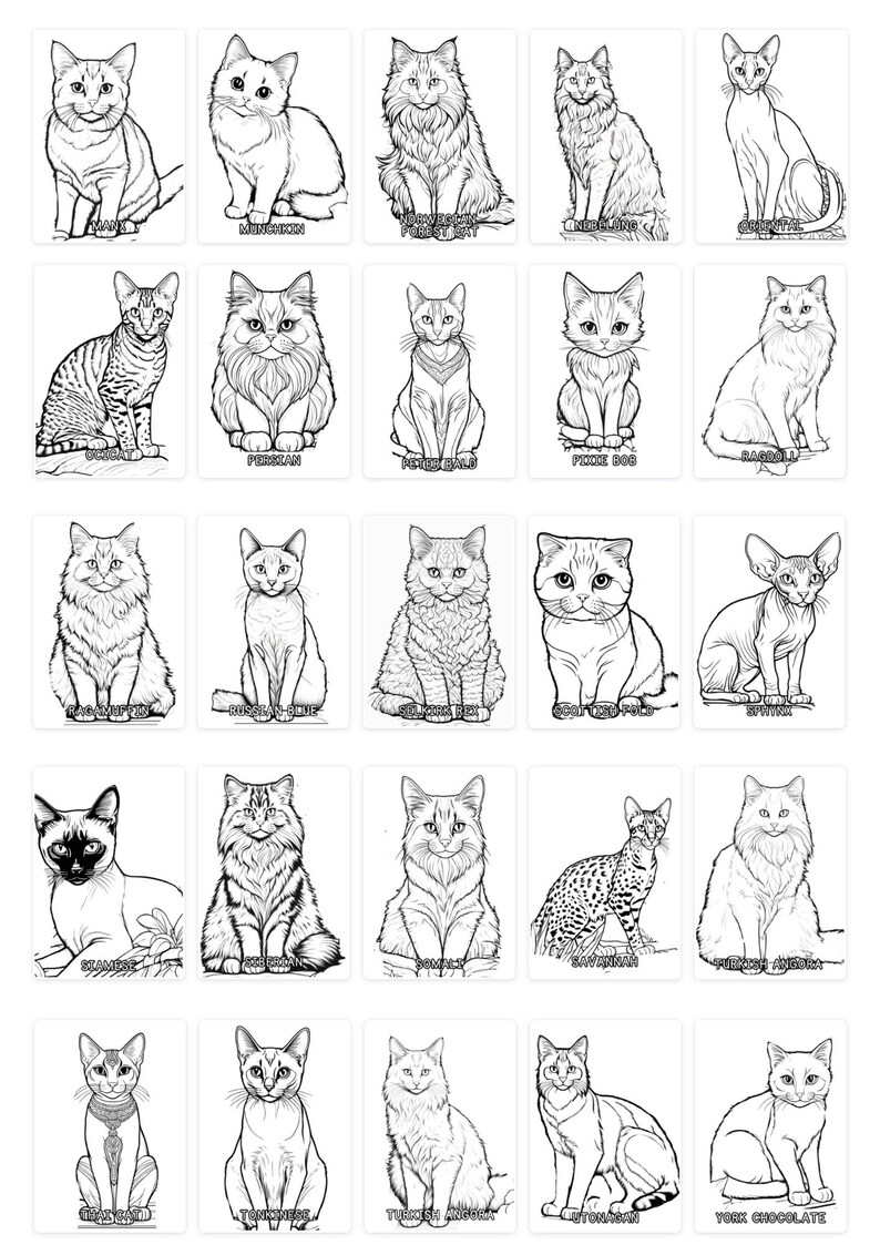 Adorable Cat Coloring Pages - Adult and Kids Coloring Book, Cats ...