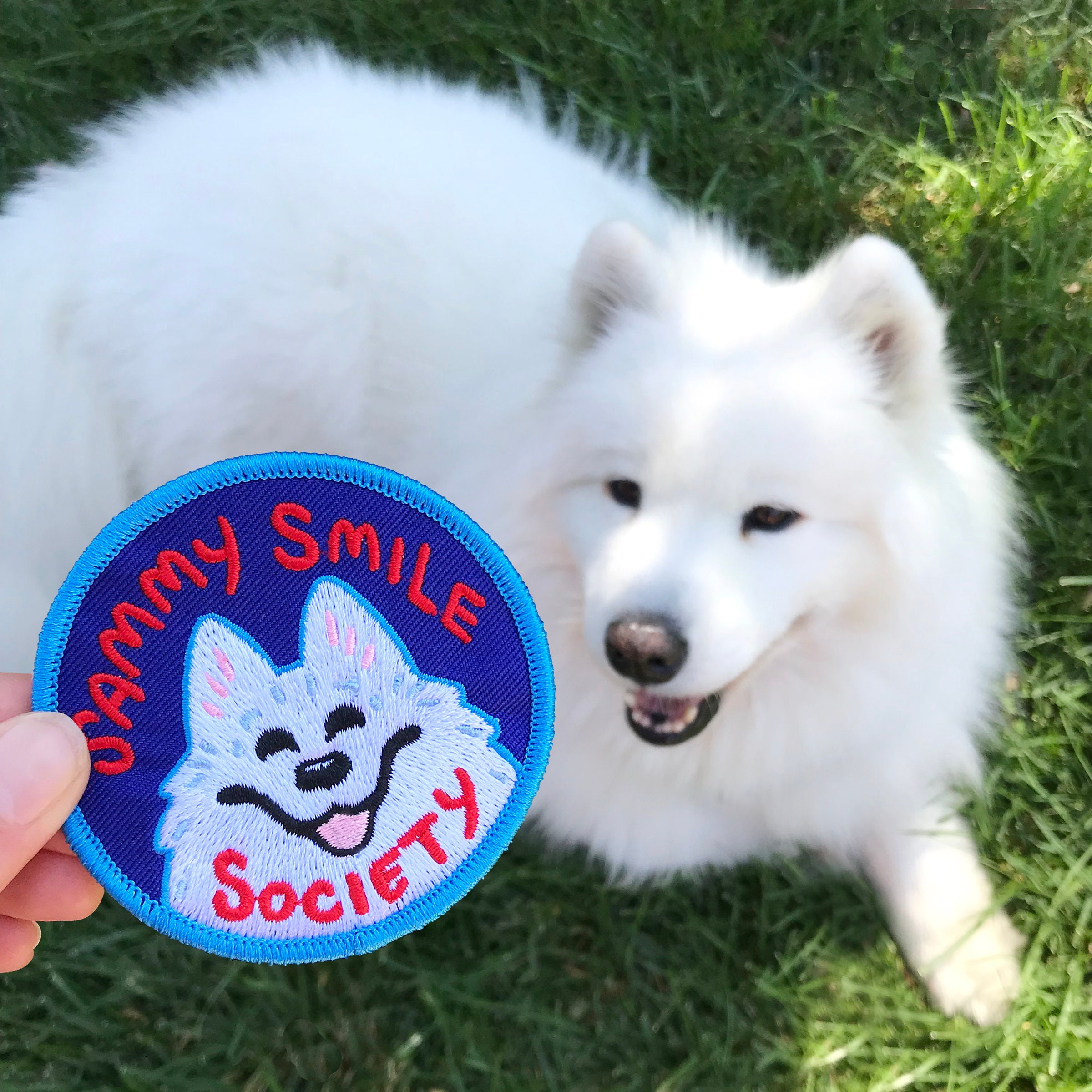 Sammy Smile Samoyed Dog Iron On Patch | Etsy