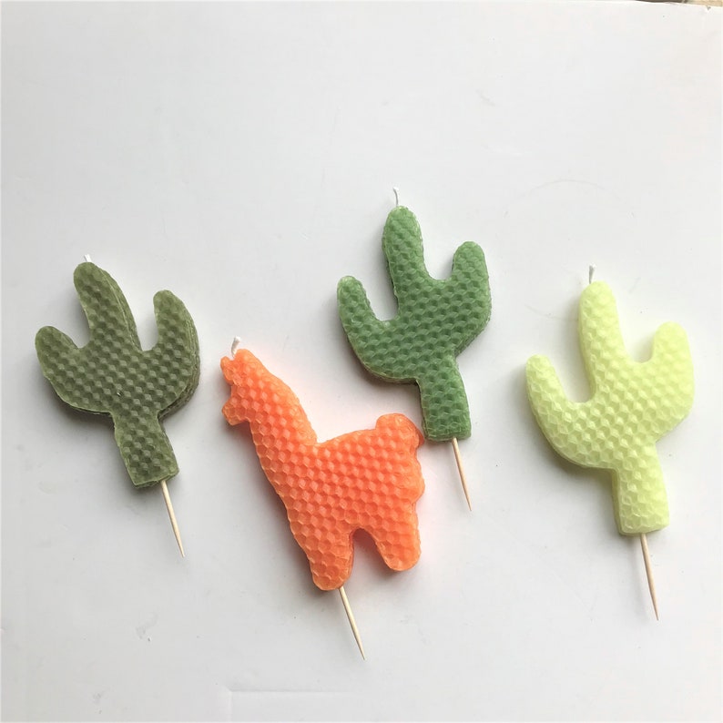 Taco Party Candles Cactus Beeswax Candles Southwest Beeswax - Etsy