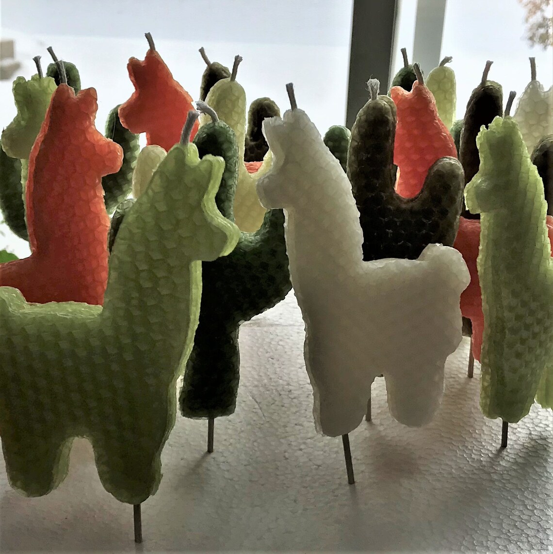 Taco Party Candles Cactus Beeswax Candles Southwest Beeswax | Etsy