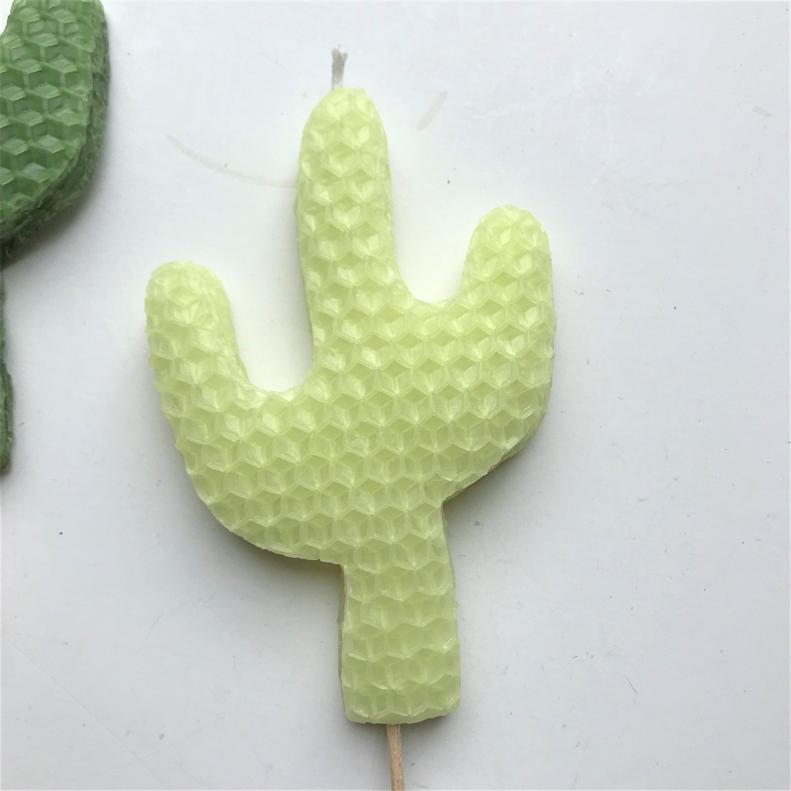 Taco Party Candles Cactus Beeswax Candles Southwest Beeswax | Etsy