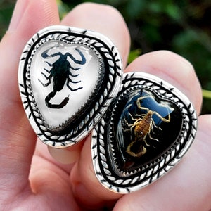 Scorpion Ring Size 7 Sterling Silver Genuine Black Scorpion Insect ...