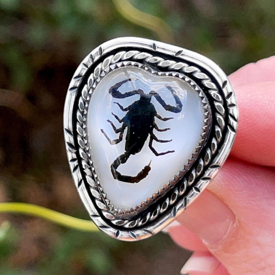 Scorpion Ring Size 7 Sterling Silver Genuine Black Scorpion Insect ...