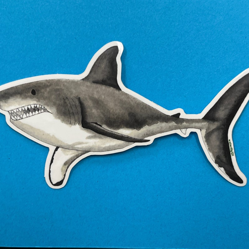 Shark Stickers - Etsy