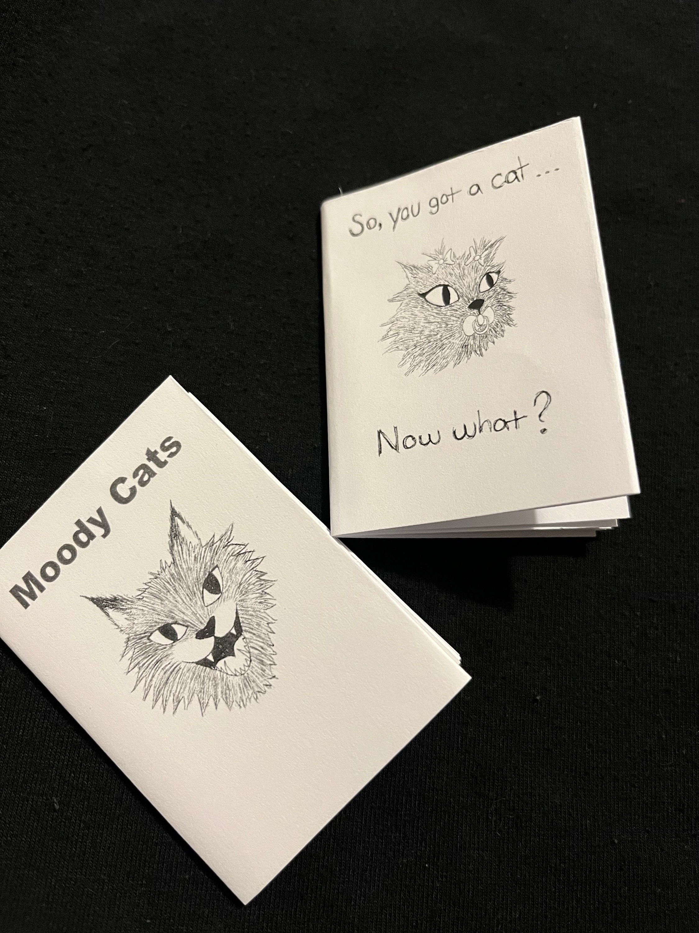 Moody Cats, Mini Zine, New Cat Zine, Funny Zine, Cats, Cat Lovers ...