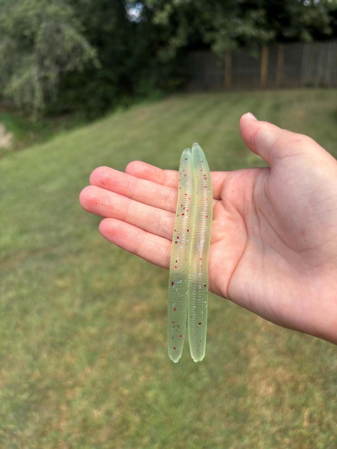 Watermelon Flake 5" Stick Bait 12 Pack - Etsy