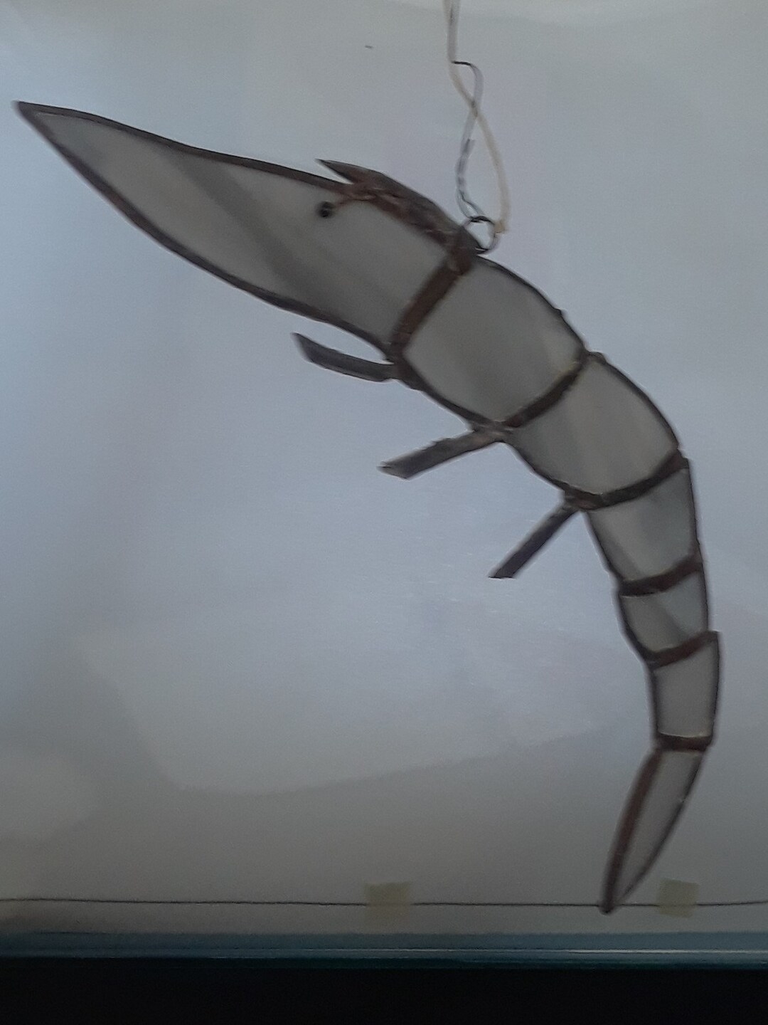Stained Glass Live Shrimp - Etsy