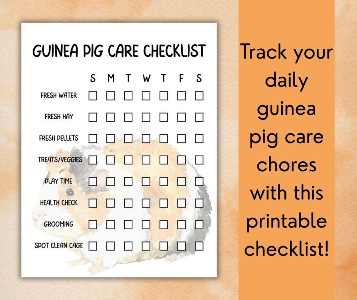 Printable Guinea Pig Care Checklist: Daily Chore Chart (PDF Download ...