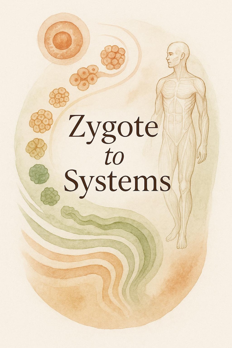 Zygote to Systems – Module 1 | Human Development Worksheet + Germ Layer ...