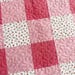 Strawberry Summer Ruby Star Society Easy to Make Gingham Picnic Quilt ...