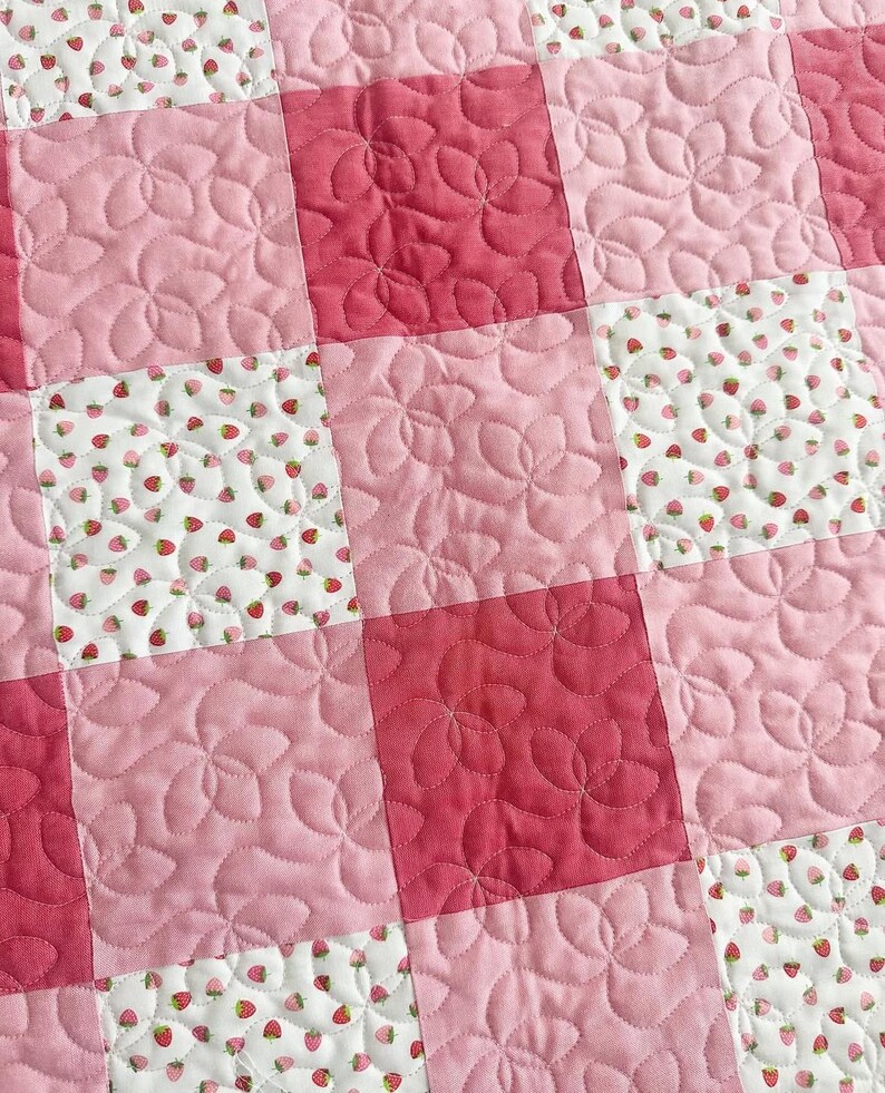 Strawberry Summer Ruby Star Society Easy to Make Gingham Picnic Quilt Kit for Beginners - Etsy