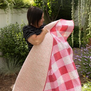 Strawberry Summer Ruby Star Society Easy to Make Gingham Picnic Quilt ...