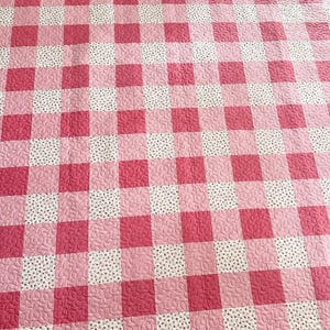 Strawberry Summer Ruby Star Society Easy to Make Gingham Picnic Quilt ...