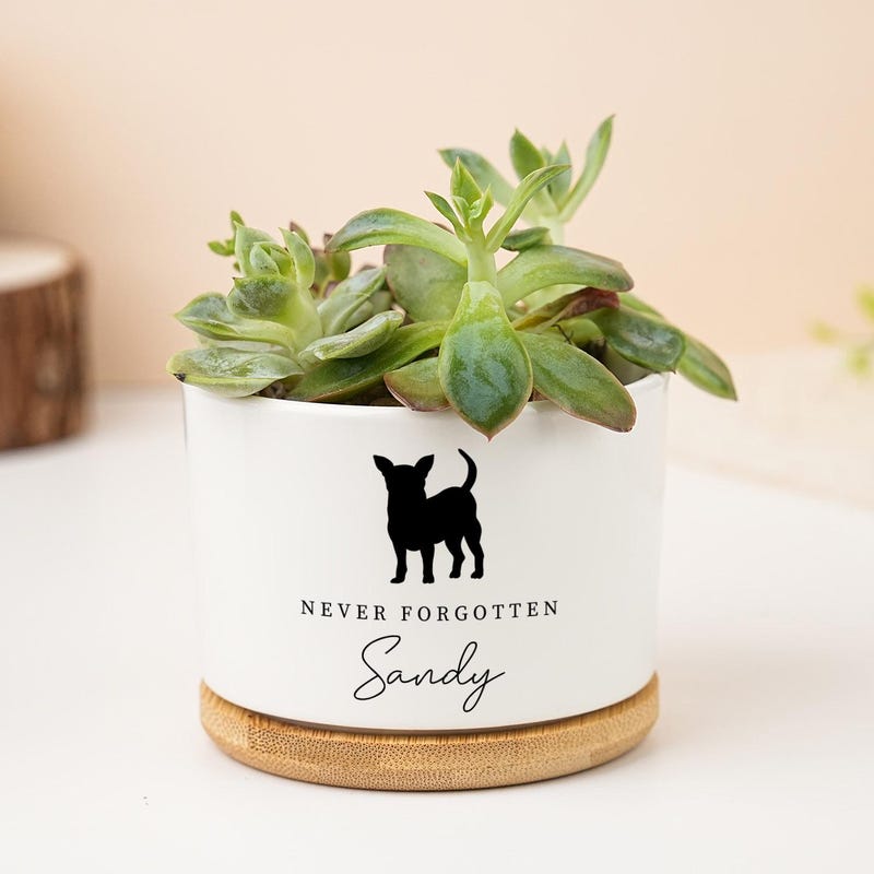 Chihuahua planter pot - Etsy.de