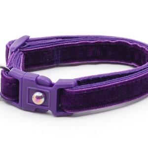 violet buckle