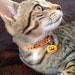 Cat Bells - Special Character Jingle Bells - Cat Collar Bells - Extra ...