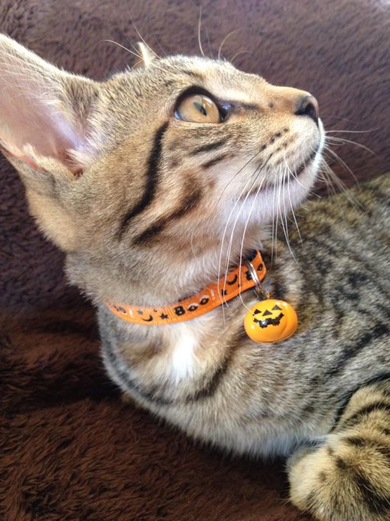 Cat Bells Special Character Jingle Bells Cat Collar Bells - Etsy