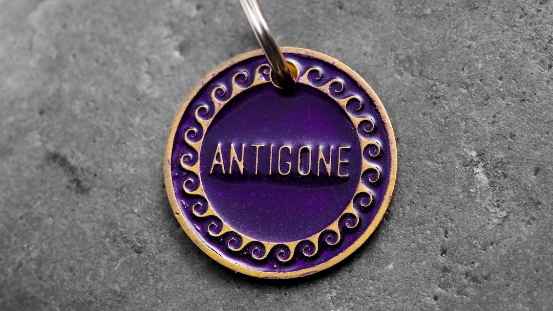 Engraved Greek Wave Pet ID Tag - Gold and Amethyst Colored ...