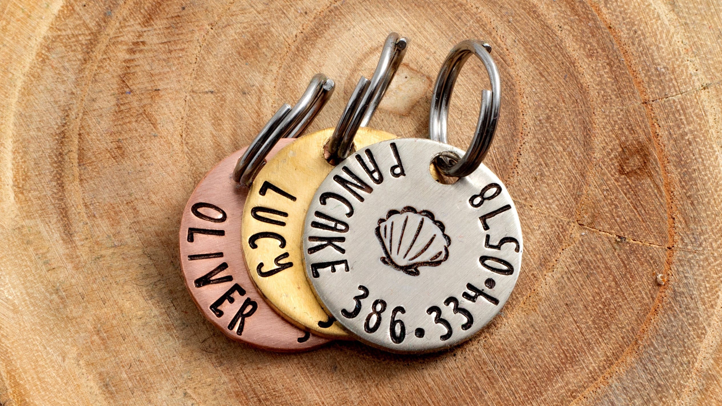 Seashell Pet ID Tag - Petite Cat or Dog Tag - 3/4" Pick You Color Pet ...