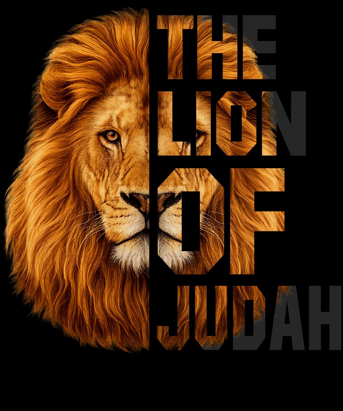 The Lion of Judah Png-jesus Christian Design Png-god Religious Bible ...