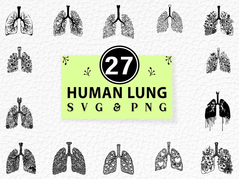 Human Lung SVG, Anatomy Silhouette PNG, Respiratory Clipart, Medical ...