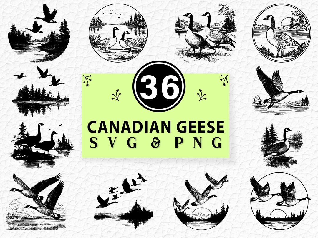 Canadian Geese SVG PNG Bundle, Rustic Bird Clipart - Etsy
