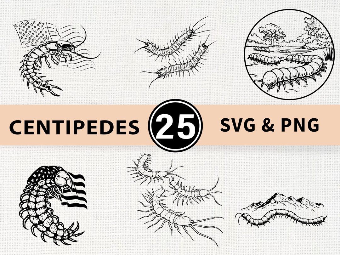 Centipede SVG PNG Bundle, Creepy Crawly Insect Clipart, Cricut Cut File ...