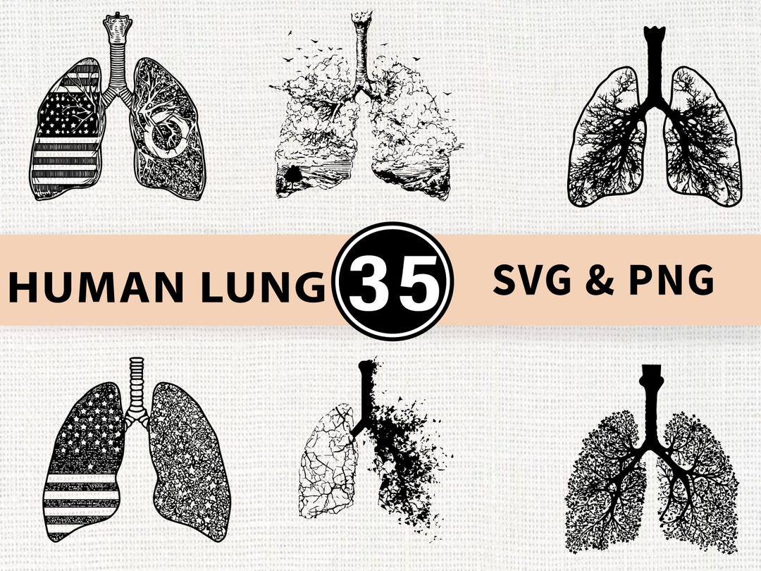 Human Lung Silhouette SVG Bundle | Medical Anatomy Lungs SVG PNG Cricut ...