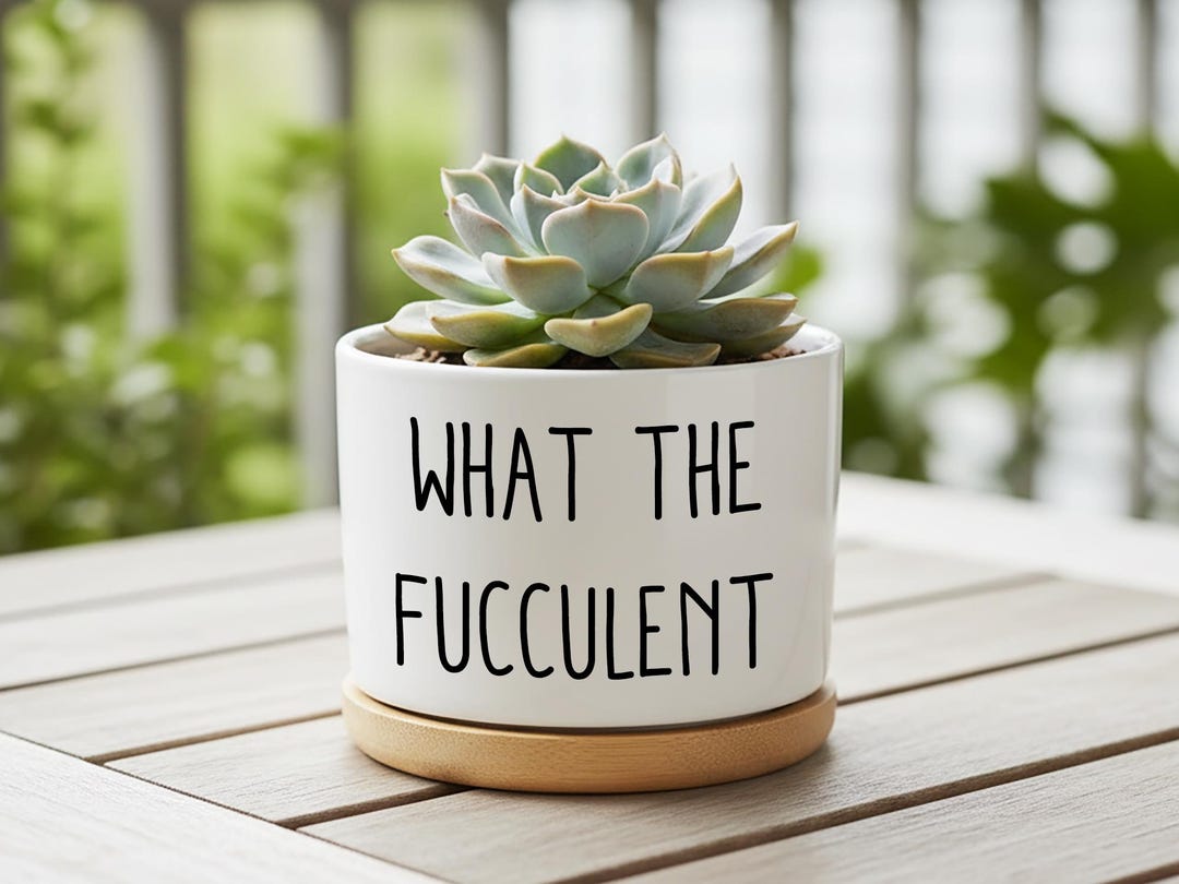 Personalized Flower Pots, Funny Succulent Pot,ceramic Pot With Drainage ...