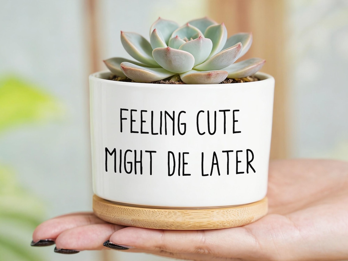 Personalized Flower Pots, Funny Succulent Pot,ceramic Pot With Drainage ...