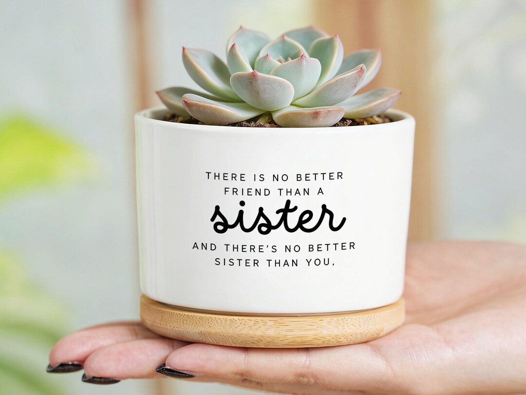 Sister Quote Planter, “no Better Friend Than a Sister” Gift ...