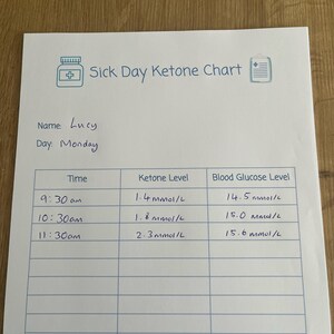 Printable Daily Ketone Chart Sick Day Type 1 Diabetic Diary Monitoring ...