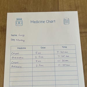 Daily Medicine Chart, Printable Medication Log for Parents, Individuals ...