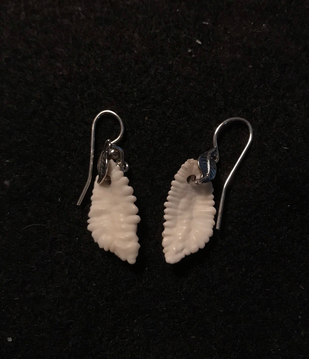 Codfish Ear Bones - Etsy