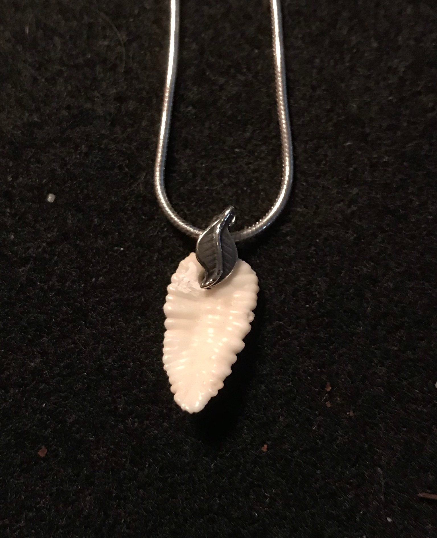 Otolith Jewelry