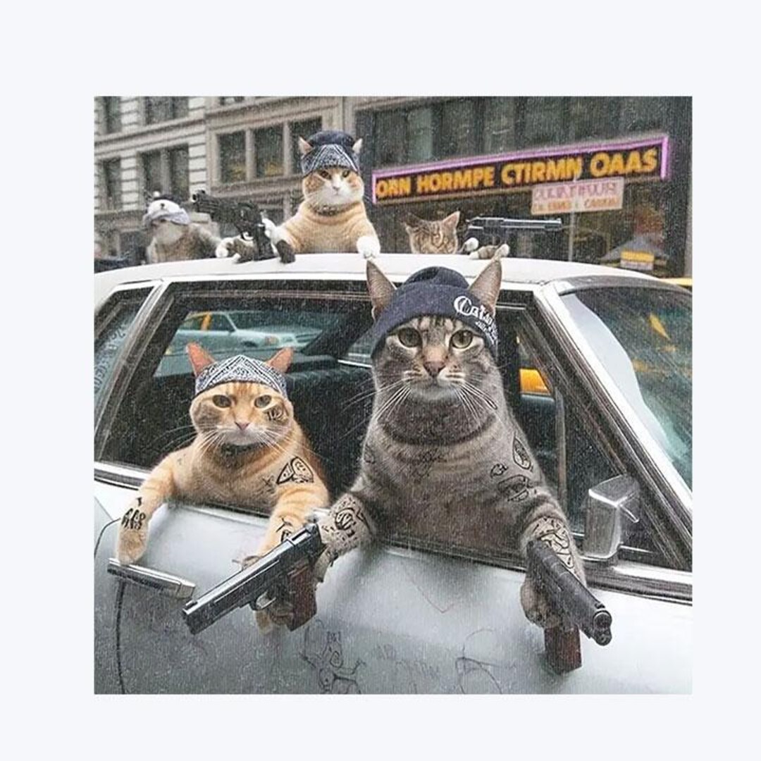 Cat Gangster Armed Cats PNG - Etsy