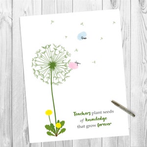 Teacher Appreciation Gift, Teachers Plant Seeds Teacher Gift From ...