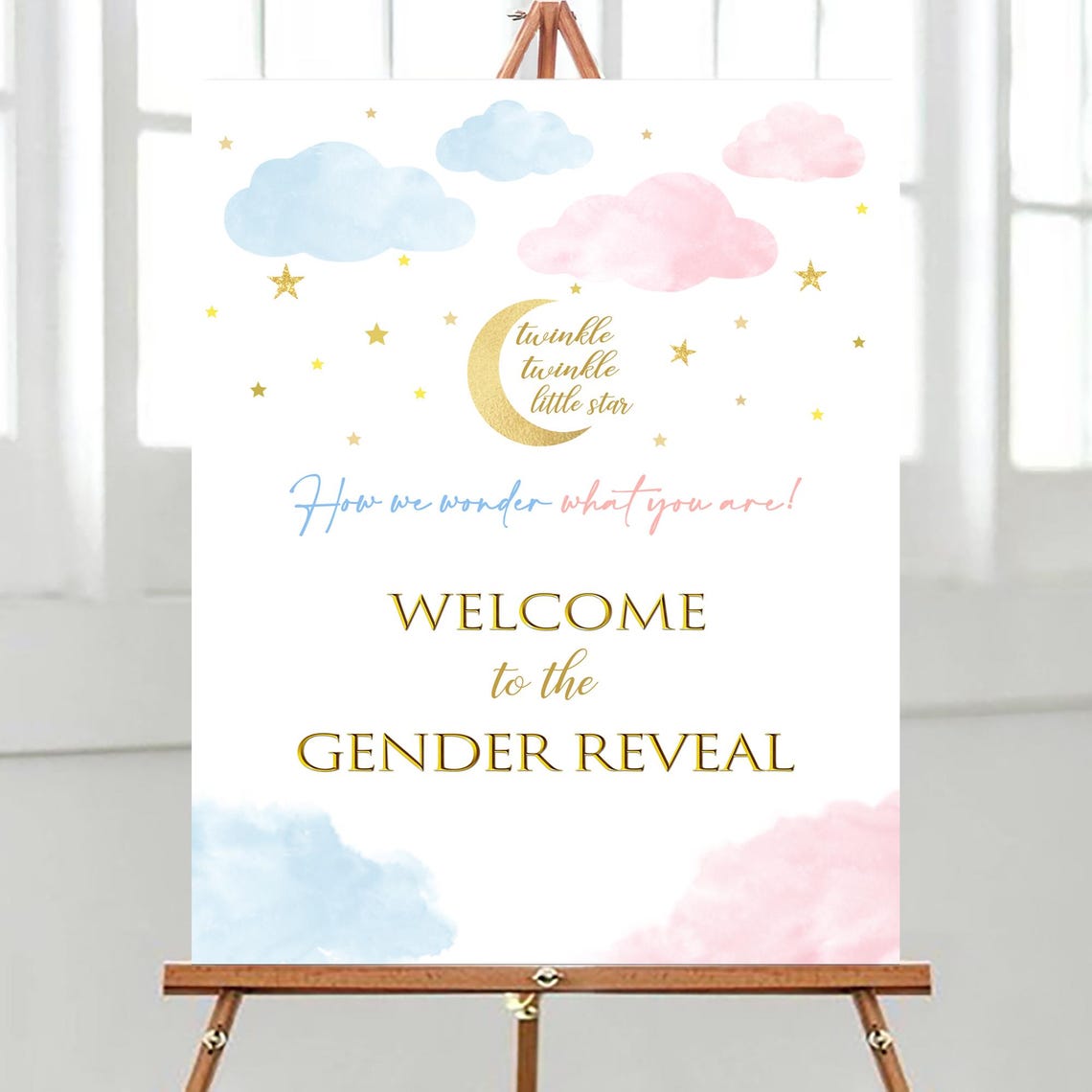 Twinkle Little Star Gender Reveal Welcome Sign Blue Pink Baby Shower ...