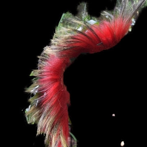 Native American Roaches - Etsy