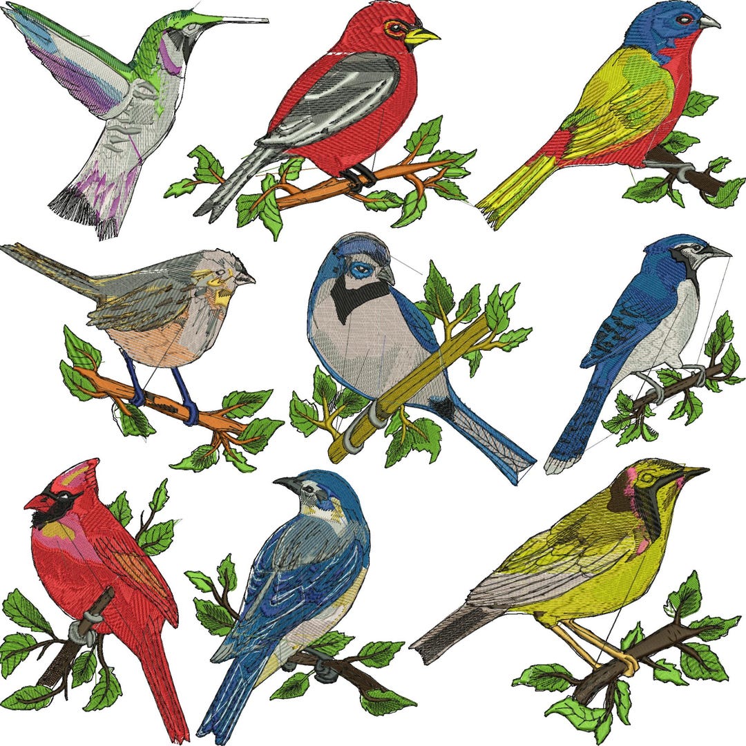 Bird Embroidery Design, Exotic Birds Embroidery, Song Birds Embroidery ...