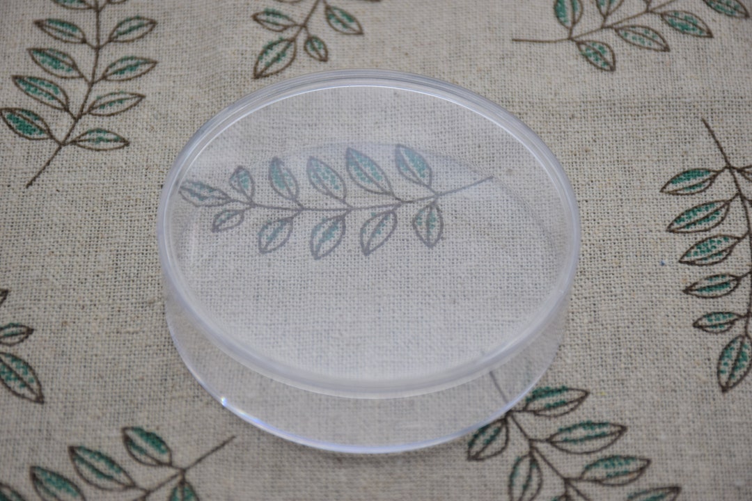 4pcs Round Clear Plastic Box,transparent Plastic Box,container Box,lid ...
