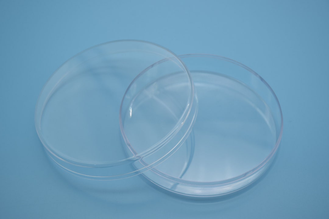 2pcs Round Clear Plastic Box,transparent Plastic Box,container Box,lid ...