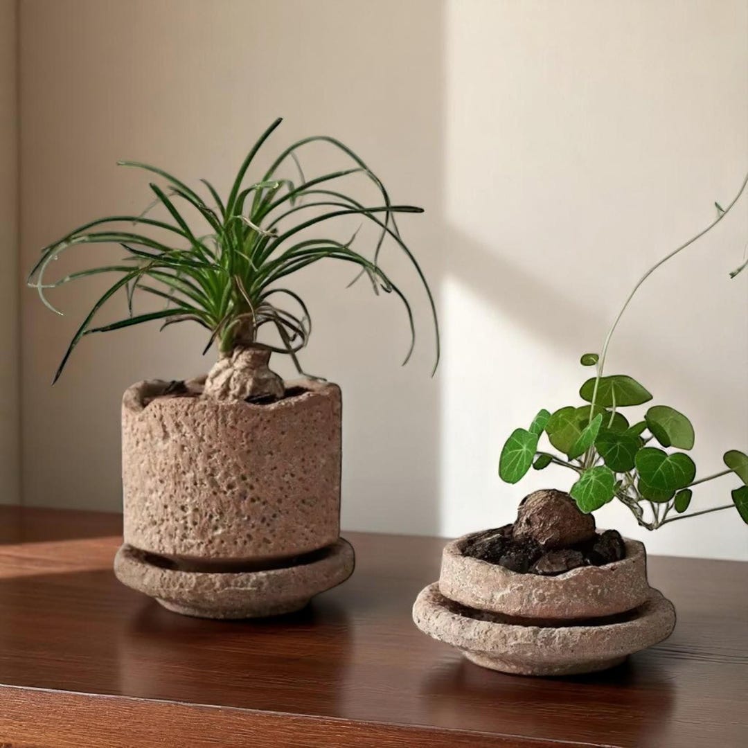 Textured Ceramic Porcelain Flower Pots, Scandinavian Style Planters ...
