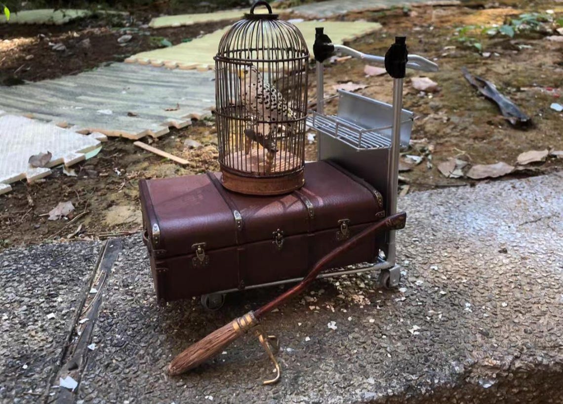 Balck Magic Set/magic School Set With Cart, Suitcase, Owl, Birdcase ...