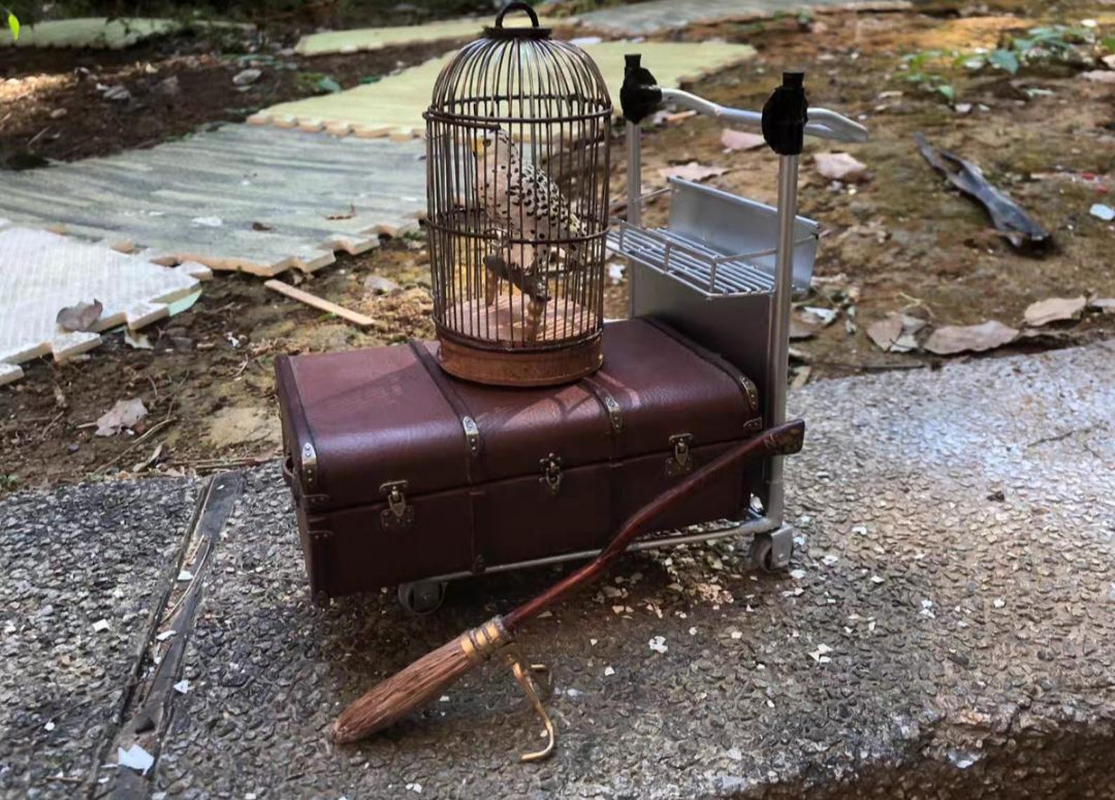 Balck Magic Set/magic School Set With Cart, Suitcase, Owl, Birdcase ...