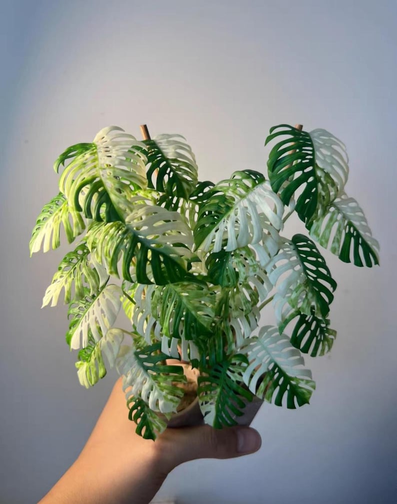 Miniature Plants/artificial Tropical Plants/handmade Clay Plants ...