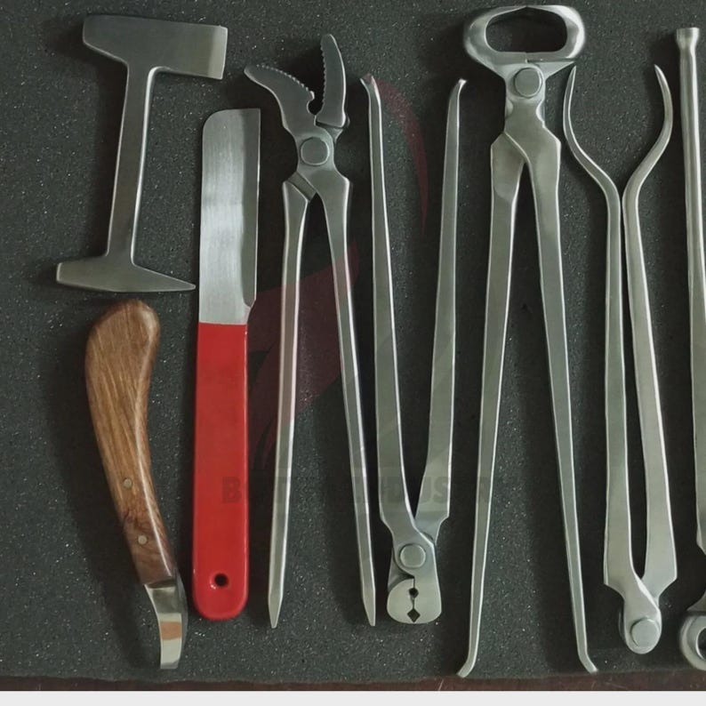 Horse Farrier Tool Kit Hoof Trimming Nipper Puller Clincher Grooming ...