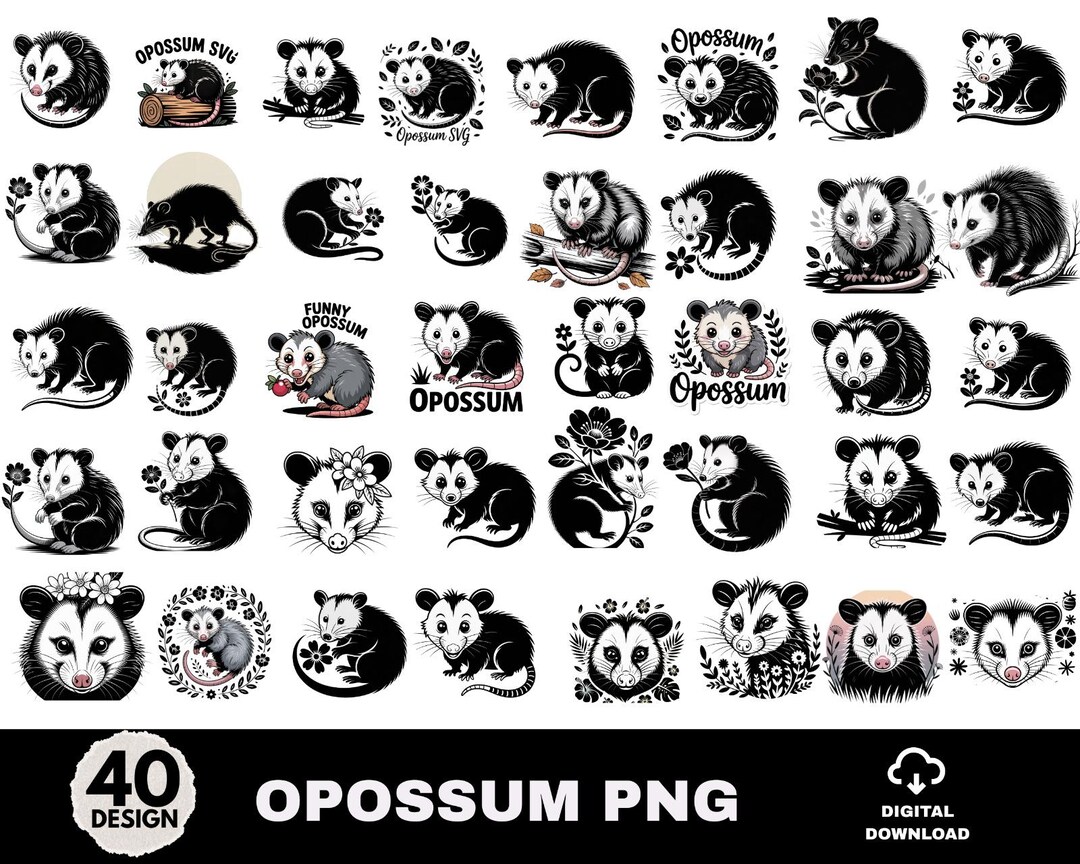 Funny Opossum PNG Bundle | Cute Possum Clipart | Hanging Opossum ...